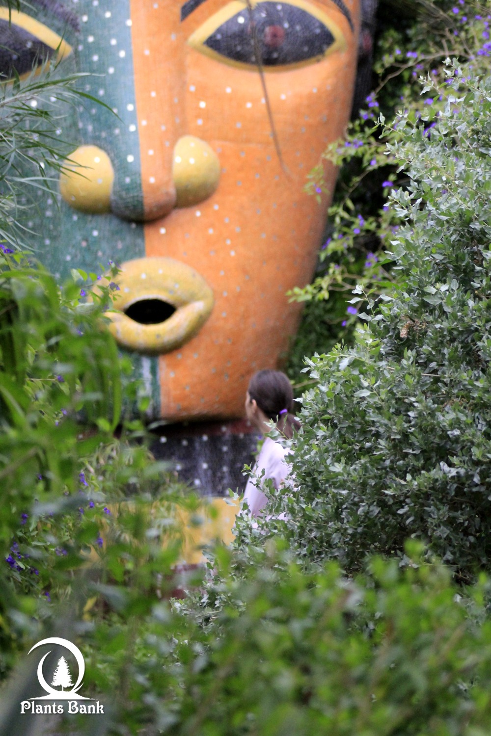 Biophilia, Welcome Home Nature